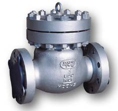 WCB-Rückschlagklappen COLVES